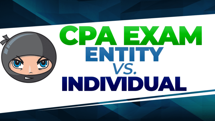 CPA Exam REG: Entity vs. Individual Taxation | Another71.com